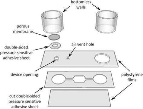 A Pump Free Membrane Controlled Perfusion Microfluidic Platform