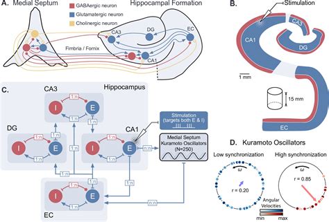 Figures And Data In A Dynamical Computational Model Of Theta Generation