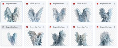 Elegant Blue Feathered Wing Overlays Meg Bitton Productions