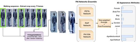 Overview Of The Automatic Annotation Procedure For The 42 Appearance