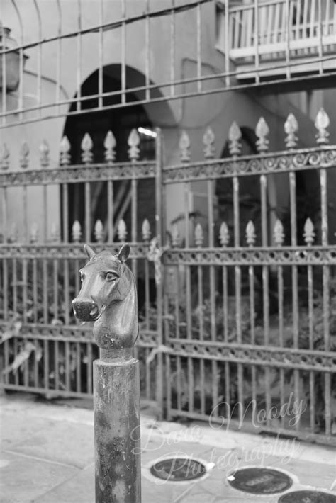 New Orleans — Dana Moody Hellwig