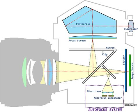 Nikon Autofocus Learn How