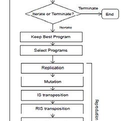 PDF Gene Expression Programming A New Adaptive Algorithm For Solving Problems