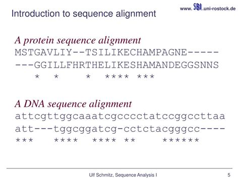 Ppt Bioinformatics Sequence Analysis I Powerpoint Presentation Free