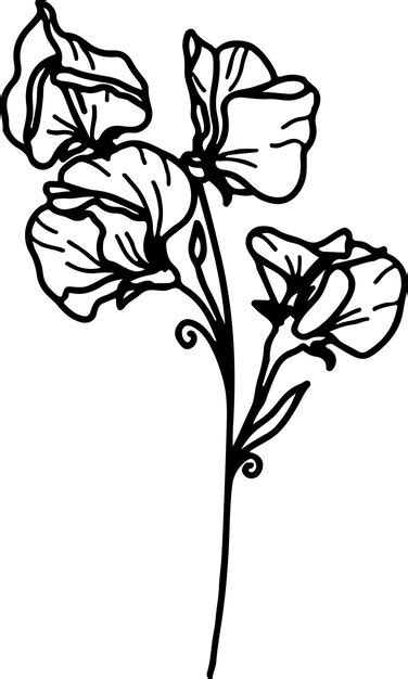 Premium Vector Flower Design