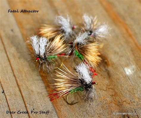attractor fly patterns pattern matching algorithms