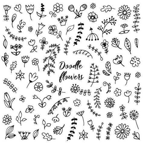 Doodle Blumen Vektoren Und Illustrationen Zum Kostenlosen Download