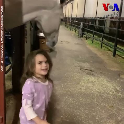 ارتباط عاطفی دختر بچه ۵ ساله با اسب سفید Youtube