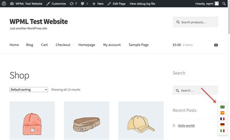 Custom Language Switcher Wpml