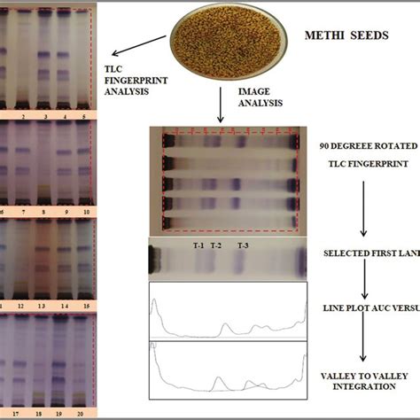 Fingerprint And Image Analysis Of Extracts Obtained By Design Matrix