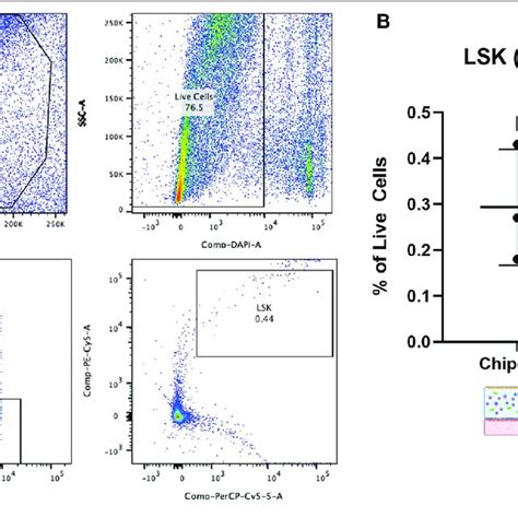 Flow Cytometric Analysis Of Hspc Cells Lsk Lineage Sca1 Ckit