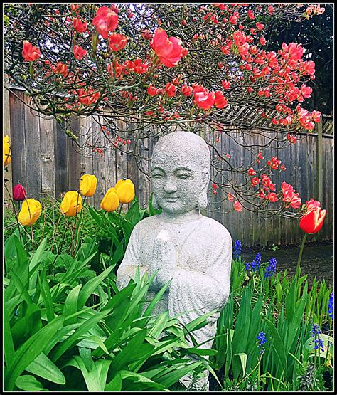 The Relapse Brian Eckert