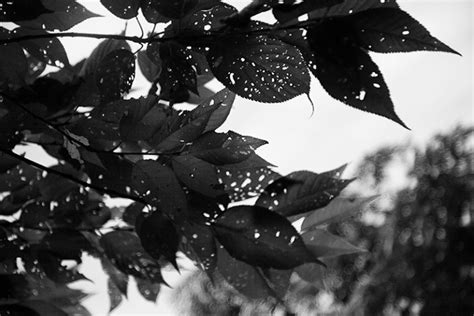 How To Make Custom Bokeh Shapes