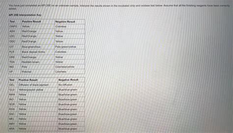 Solved You Have Just Completed An Api 20e On An Unknown