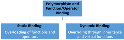 Lecture 16 Polymorphism Flashcards Quizlet