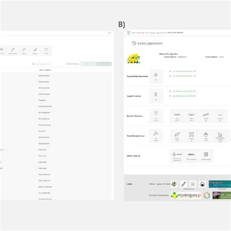 Systematic Framework Diagram Of Plant Garden Download Scientific Diagram
