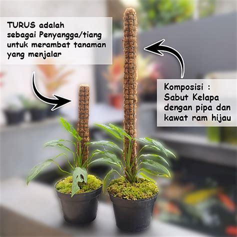Jual Turus Penyangga Tanaman Turus Tanaman Kawat Ram 40 Cm Shopee