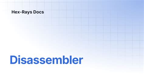 Disassembler Hex Rays Docs