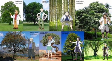 For All People Who Didnt Know The Pokemon Professors Are All Named
