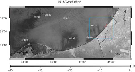 Full article: A deep learning based oil spill detector using Sentinel-1 ...