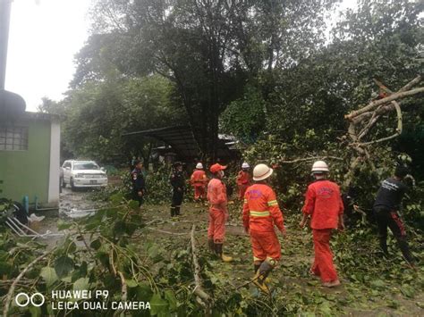 Dvb မြစ်ကြီးနားတွင် လေပြင်းကြောင့် သစ်ပင်များကျိုးကျပြိုလဲ၊ ၁ ဦးဒဏ်ရာရ