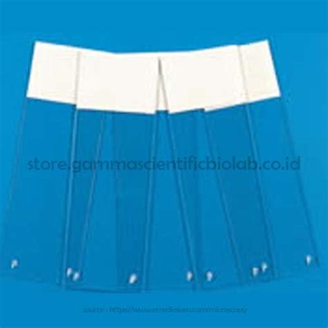 Poly L Lysine Coated Slides 72 Each Official Catalog Gsb
