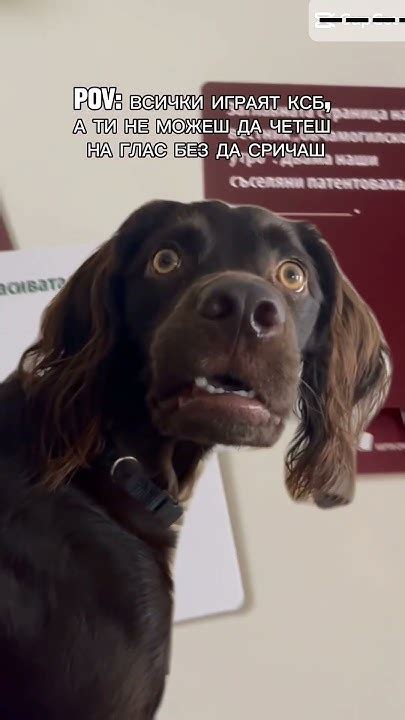 Карти срещу българщината Youtube