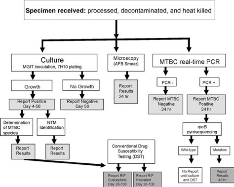 Algorithm For Integration Of The Molecular Methods Used For The Direct Download Scientific