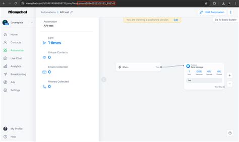 How To Generate A Token For The Manychat Api And Where To Get