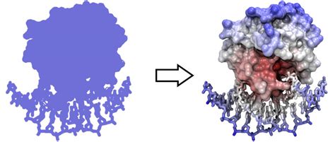 Ucsf Chimerax Structure Visualization And Analysis