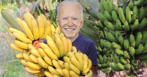 Goodbye America Hello Banana Republic RVIVR