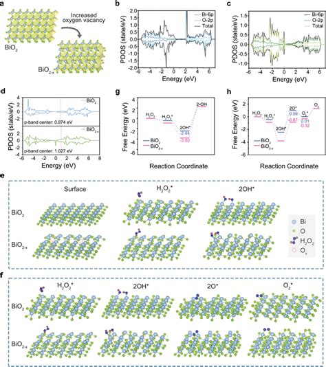 The Enzymatic Catalysis Process Of Bio2−x Nss Containing Defects And