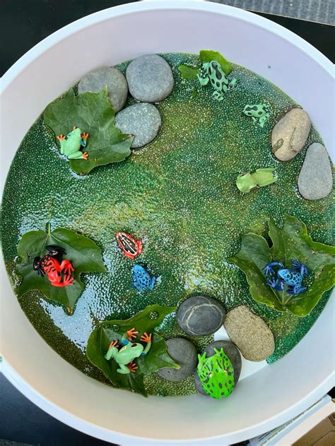 Taste Safe Sensory Aquafaba Foam Frog Pond Play Tray Sensory Crafts