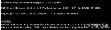 oracle错误ora 00257 archive log满了 知乎
