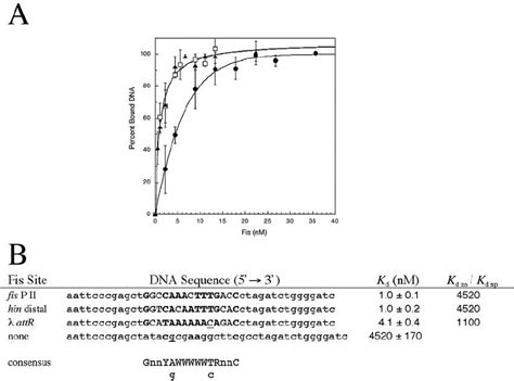 Relative Fis DNA Binding Affinities A Wild Type Fis Protein Binding Download Scientific