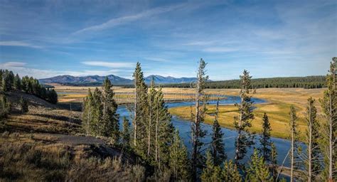 Panoramic View Over The Hayden Valley In The Yellowstone National Park