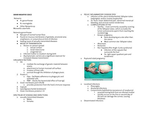 Solution Gram Negative Cocci Studypool