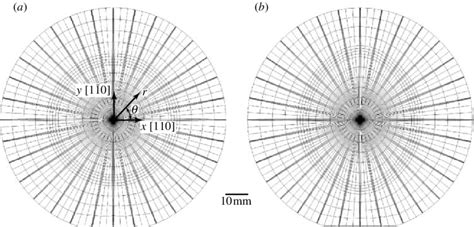 top view of the three dimensional finite element mesh used to examine
