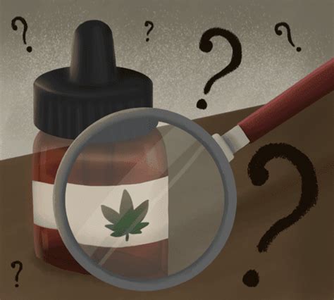 Ucsd Researchers Evaluate Risks For Cannabidiol The Ucsd Guardian