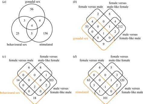 Transcriptomic Signatures Associated With Underlying Rapid Changes In The Early Phase Brain Of