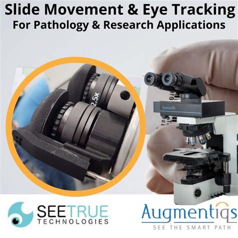 qupath image analysis upgrade for pathology augmentiqs