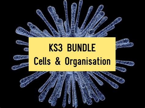 Ks3 Biology Cells And Organisation Resource Bundle Teaching Resources