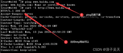 linux之代理服务器squid安装和使用 squid linux csdn博客