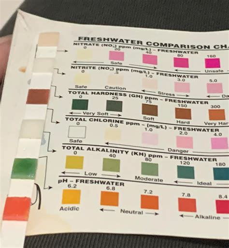 6 Way Test Strips Color Chart Suptree 6 Way Pool Test Strips For Salt