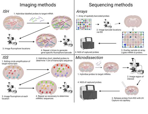 Spatial Biology 101 Smart Sensing Insights
