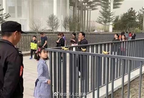 世园会100多只金色小鸟被顺走仅剩17只，谁干的 世园会 小鸟 金色 新浪新闻
