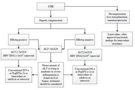 Flow Chart For Chronic Hepatitis B Antiviral Treatment Download Flow Chart For Chronic Hepatitis B Antiviral Treatment Download