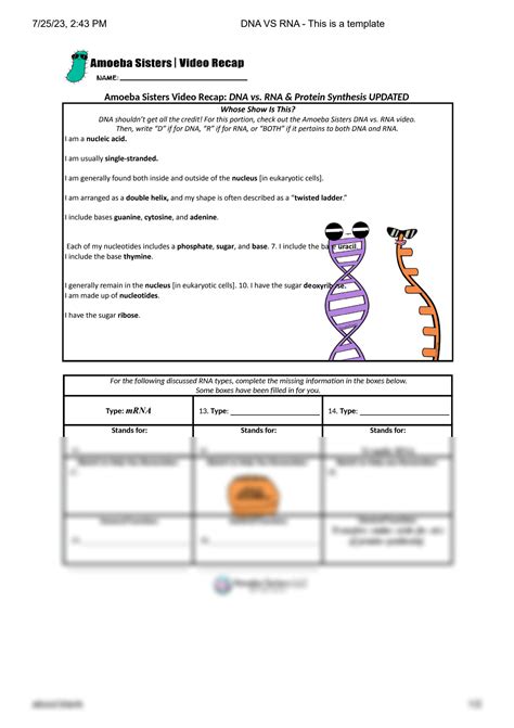 SOLUTION Dna Vs Rna This Is A Template Studypool