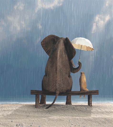 Revolutionizing Corporate Learning The Power Of Learner Centered Design