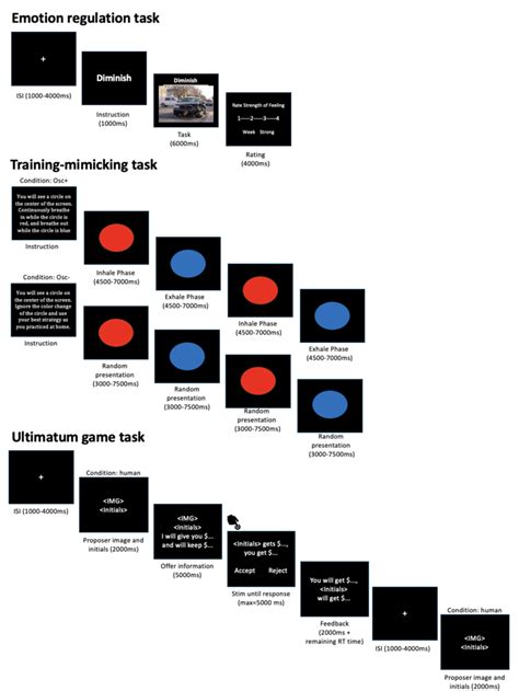 A Visual Representation Of All Experimental Paradigms During Task Based